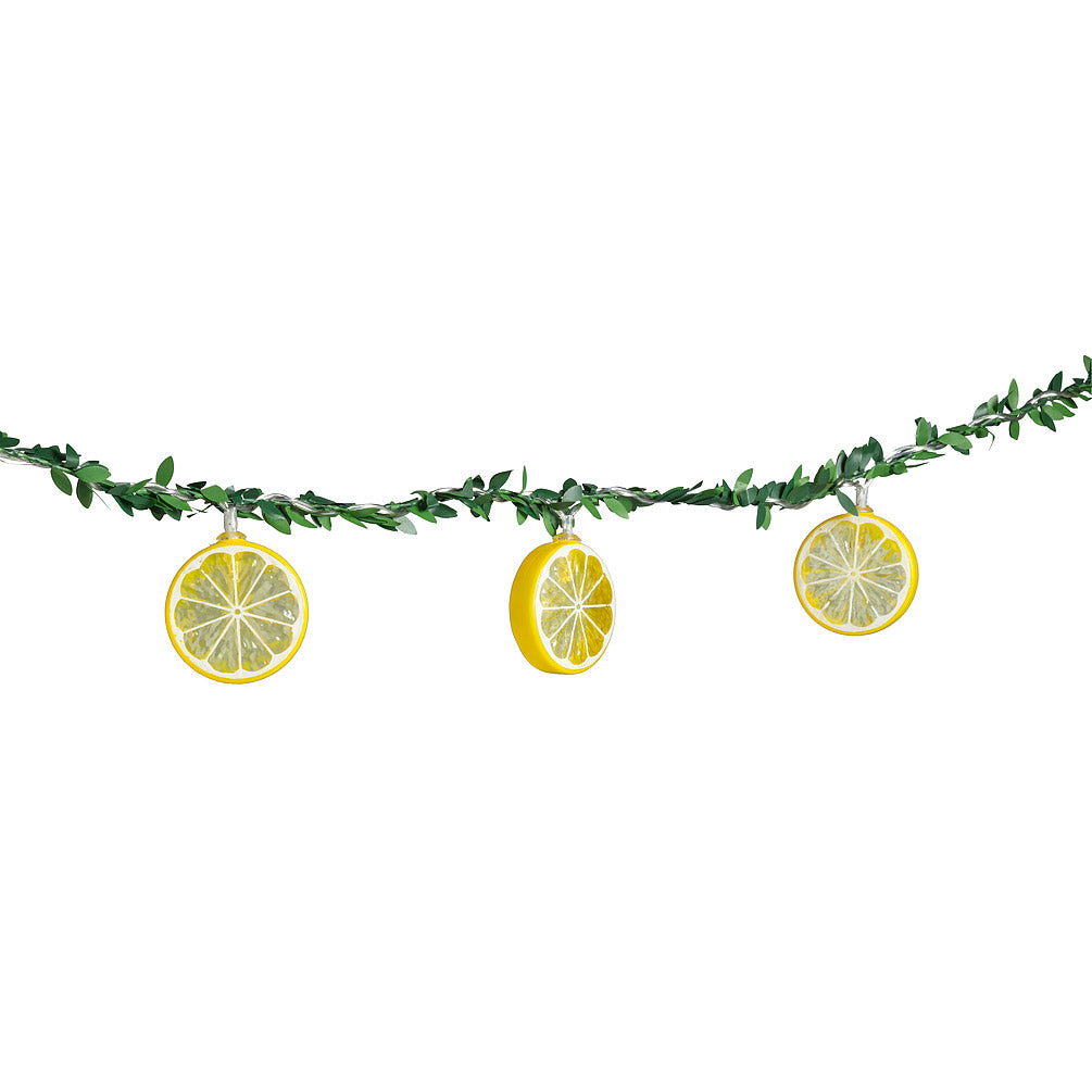 Lemon & Vine Lightstring 10L – CHRISTMAS 1497